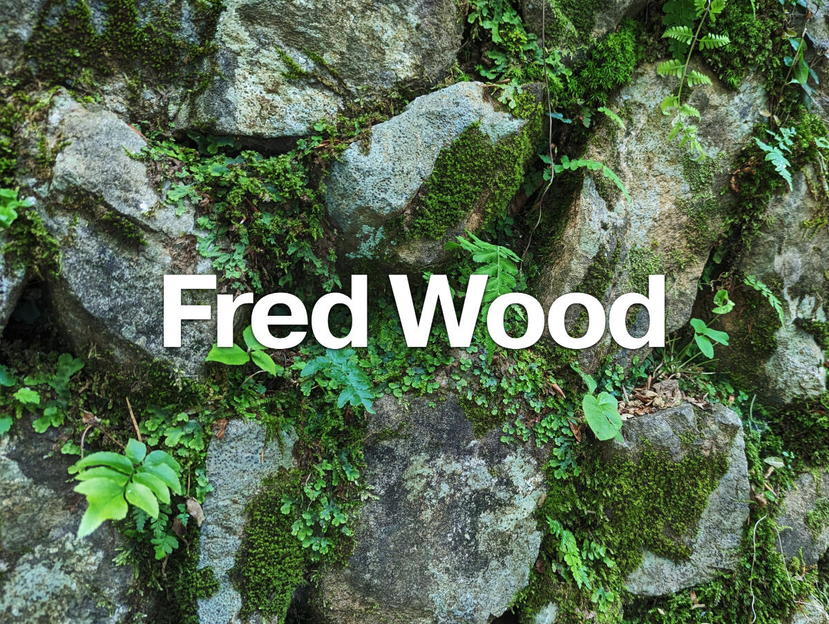Fred Wood